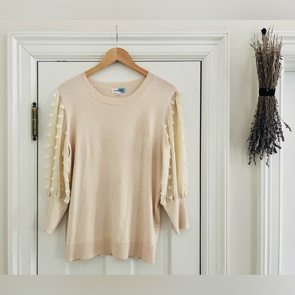 indigo Rose | Tops | Indigo Rose Cream Sheer Sleeve Blouse | Poshmark